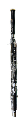 Bassoons - Nobel Instruments